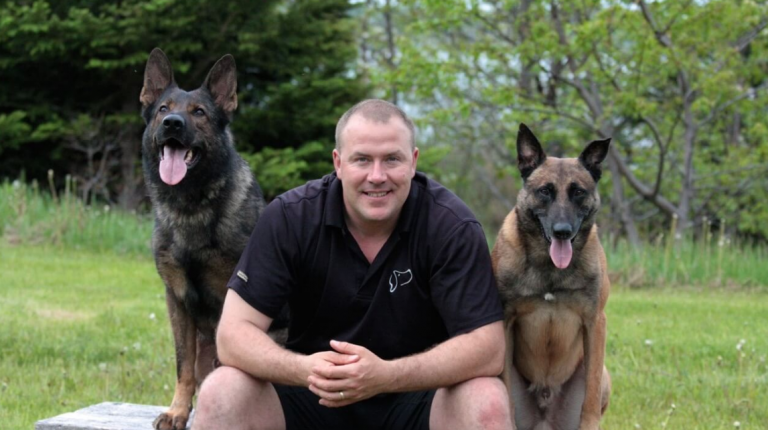 Tips For Choosing Effective Dogmaster Trainers